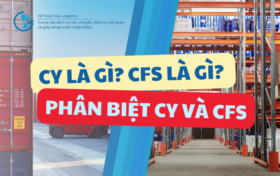 CY Là Gì? CFS là gì? Phân biệt CY và CFS